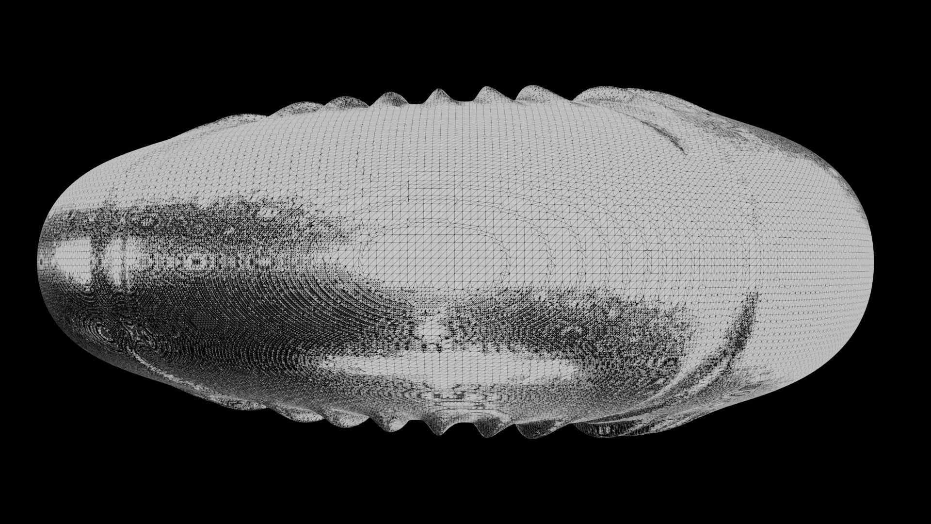 Ammonoid Shell With Umbilical Ribs And Constriction 3D - TurboSquid 2301351