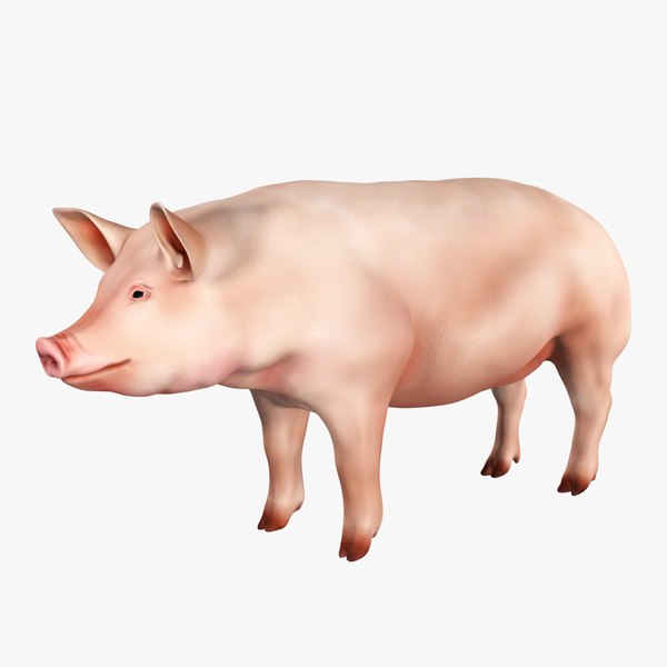 Pig animal mammal 3D - TurboSquid 1511620