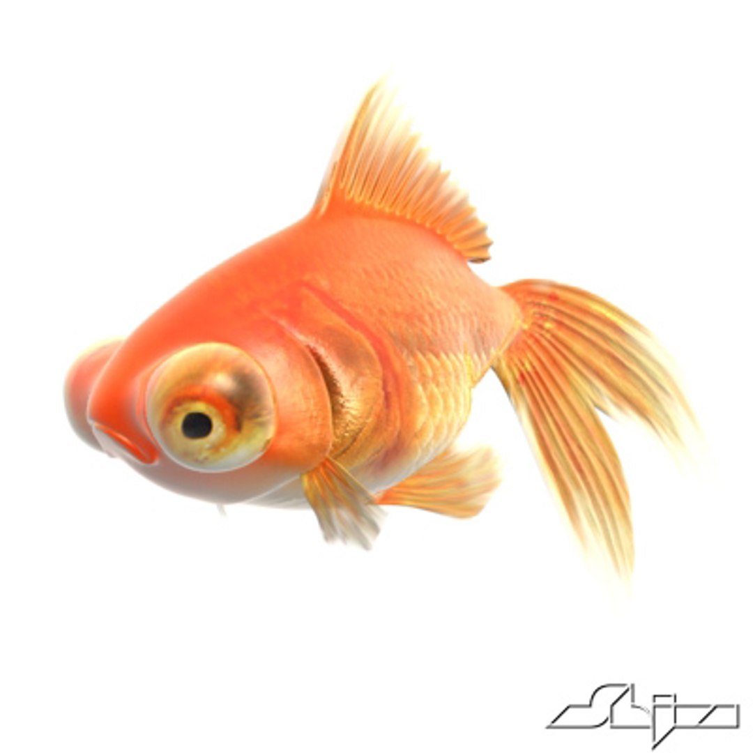 Red Goldfish 3d Model