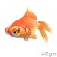 Red Goldfish 3d Model