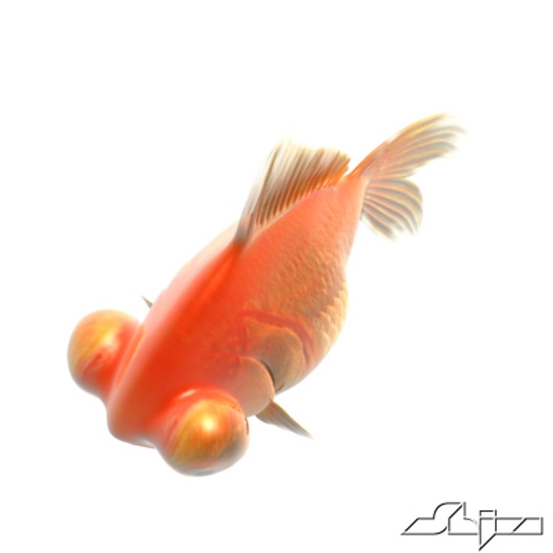 Red Goldfish 3d Model