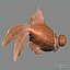 Red Goldfish 3d Model