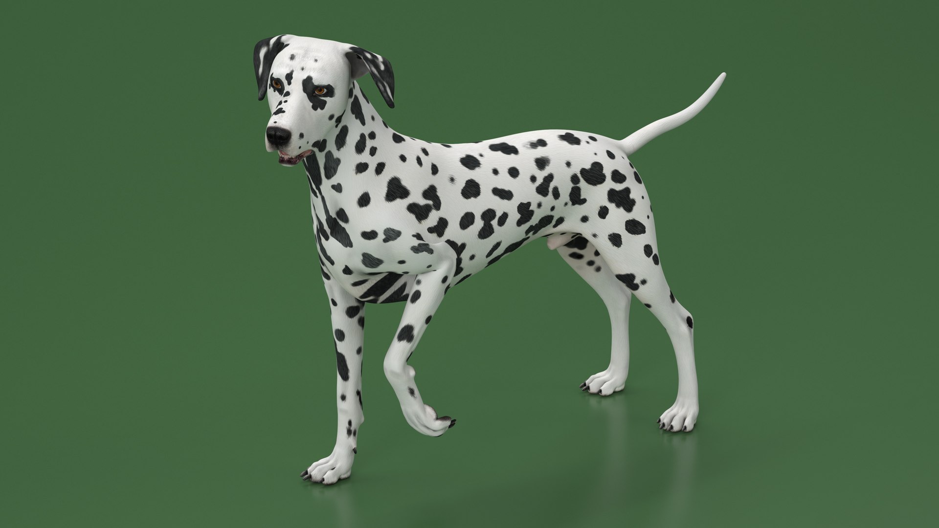 Spotted Dalmatian Dog Rigged For Maya 3D Model - TurboSquid 2284295