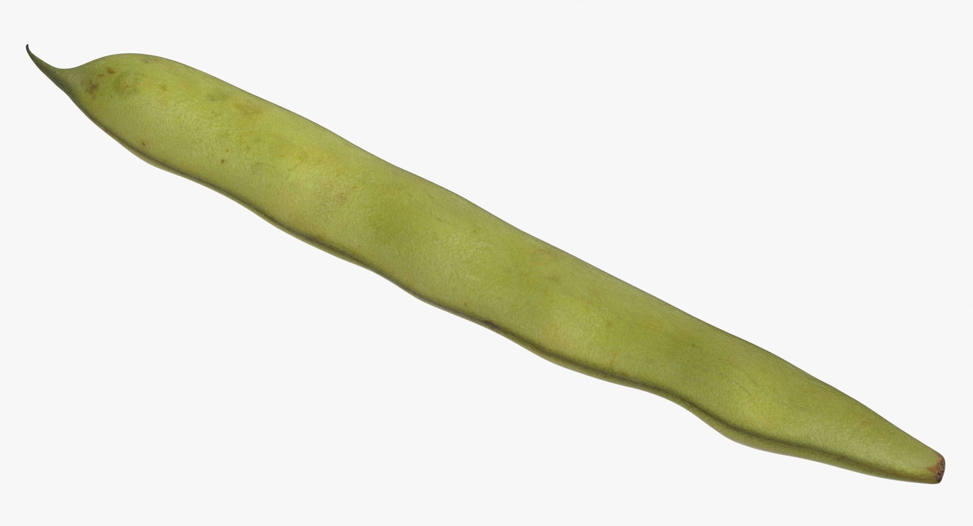 Green Beans 01 3D Model - TurboSquid 2038579
