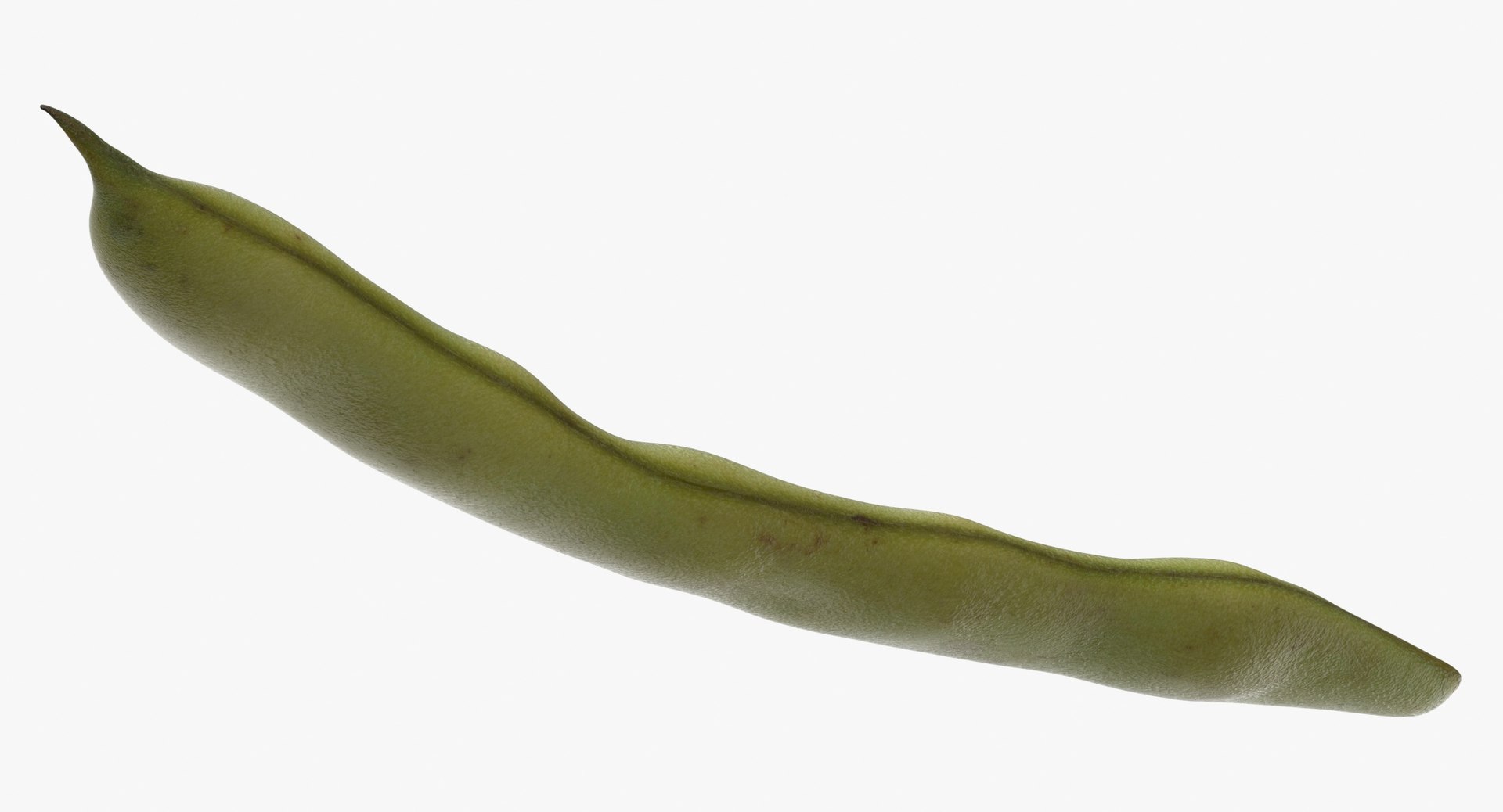 Green Beans 01 3D Model - TurboSquid 2038579