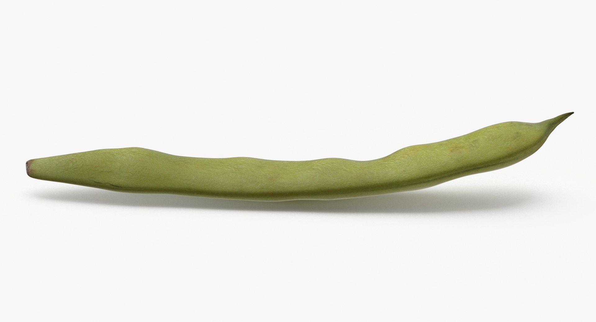 Green Beans 01 3D Model - TurboSquid 2038579