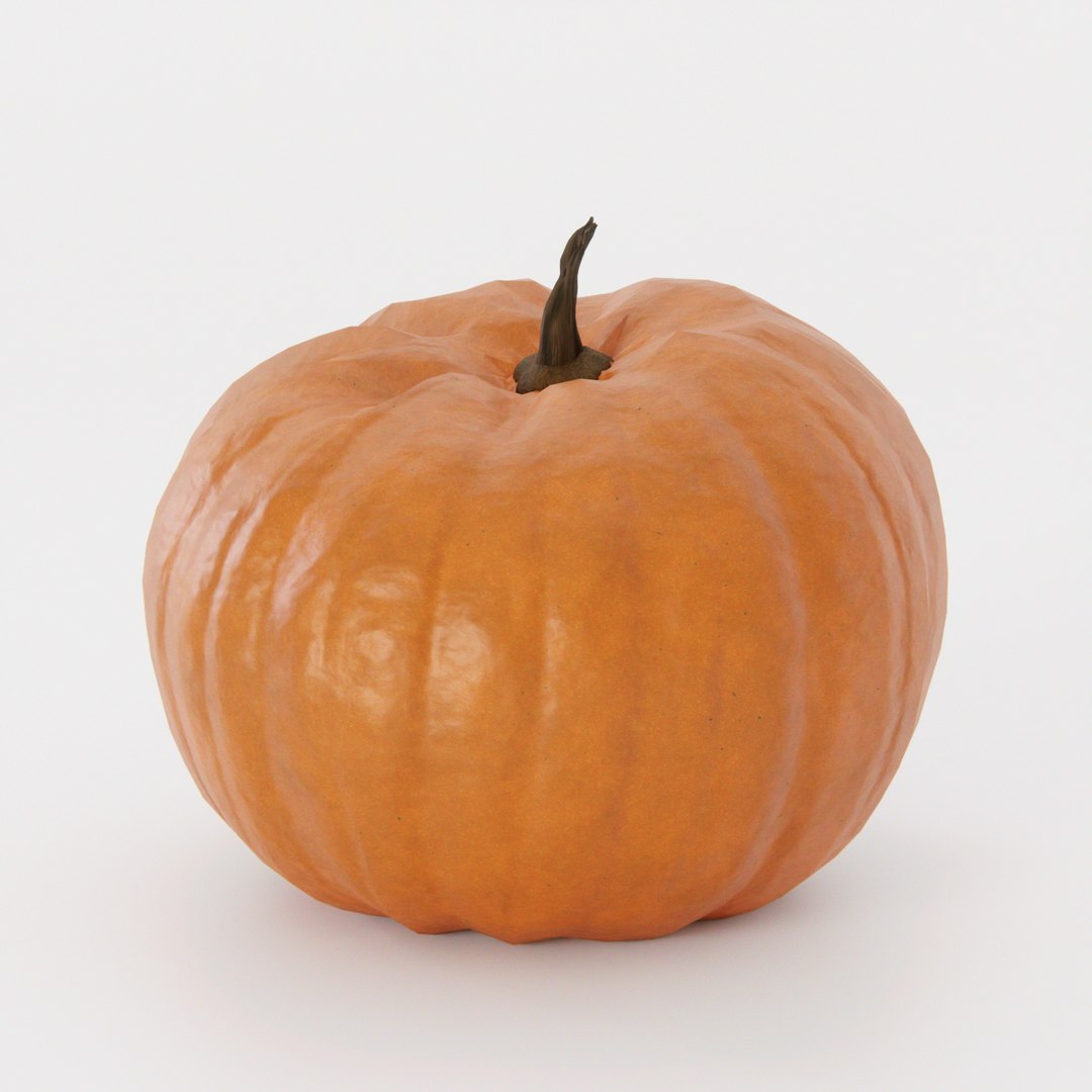 Pumpkin Pack 3D Model - TurboSquid 1977885