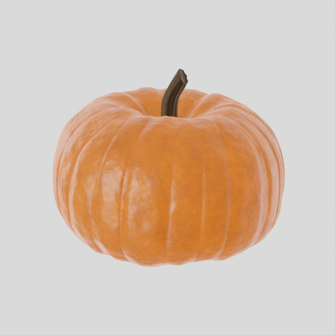 Pumpkin Pack 3D Model - TurboSquid 1977885