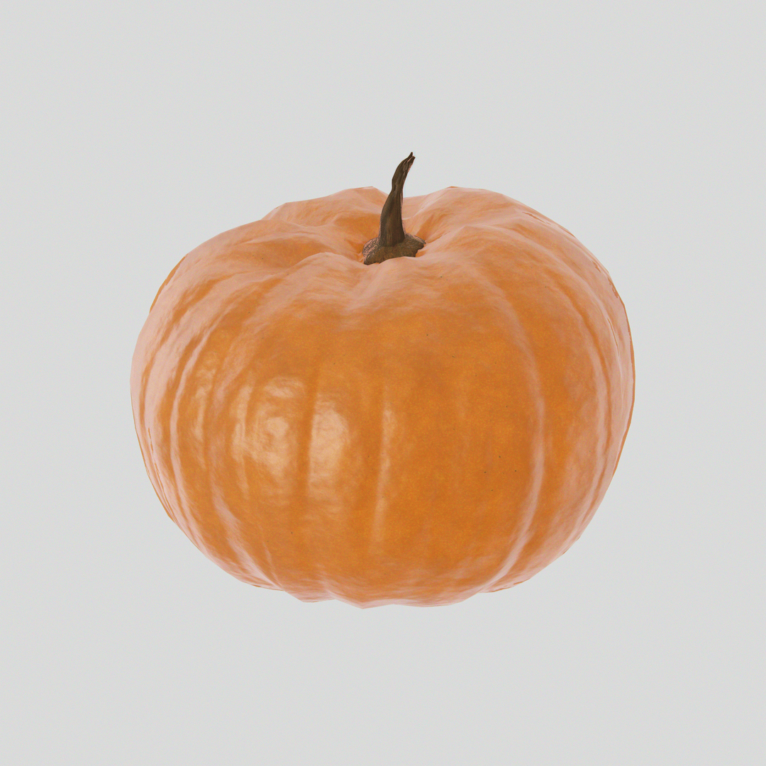 Pumpkin Pack 3D Model - TurboSquid 1977885