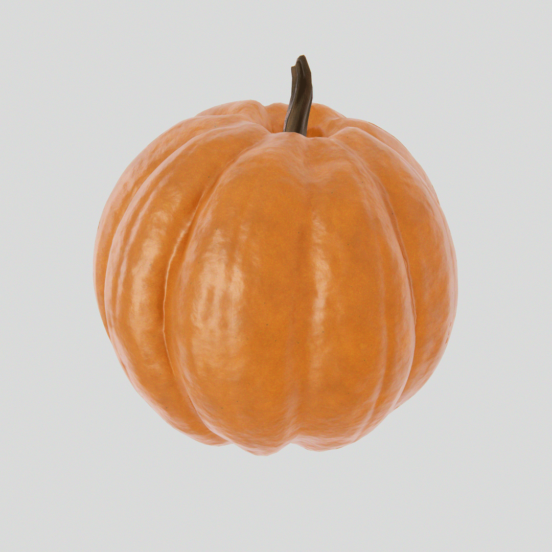 Pumpkin Pack 3D Model - TurboSquid 1977885