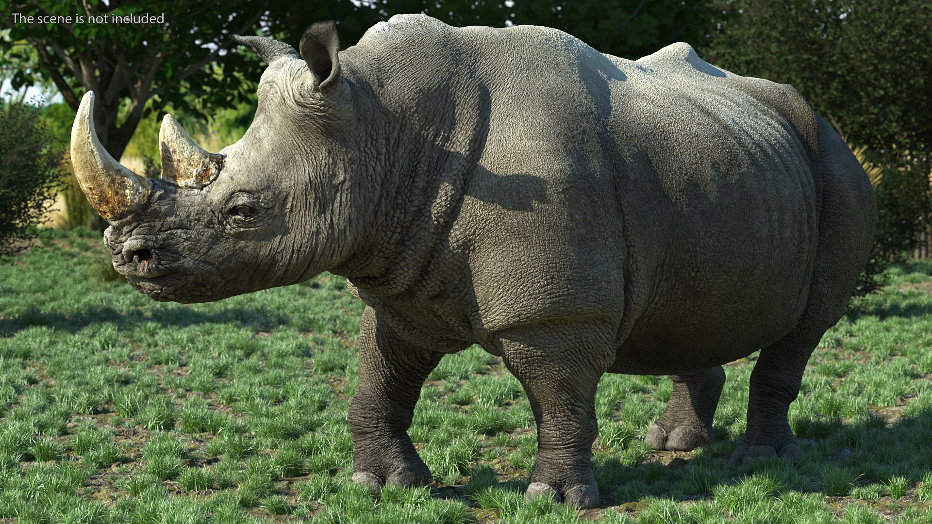 3D Rhino Standing Pose Model - TurboSquid 1675776