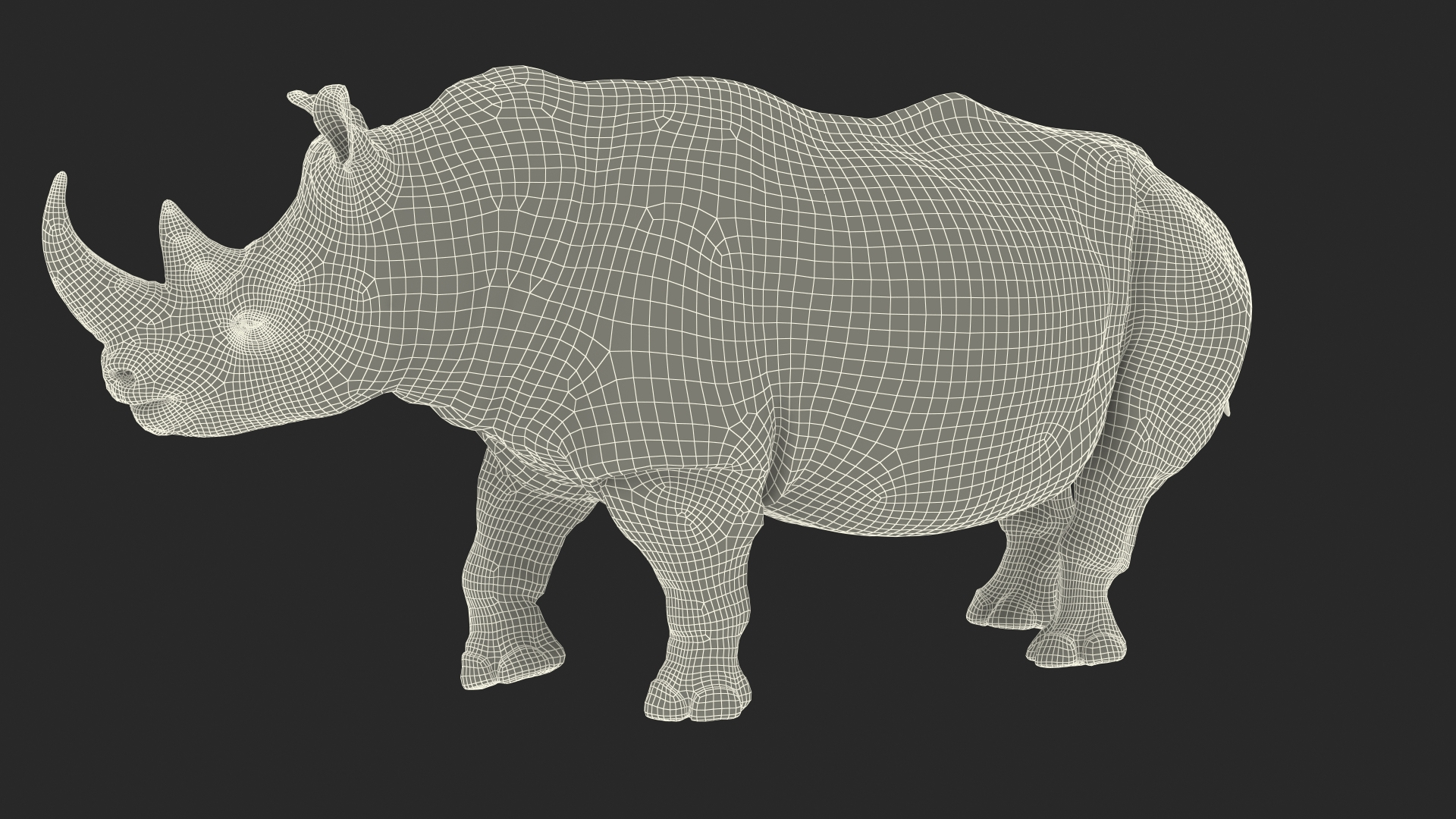 3D Rhino Standing Pose Model - TurboSquid 1675776