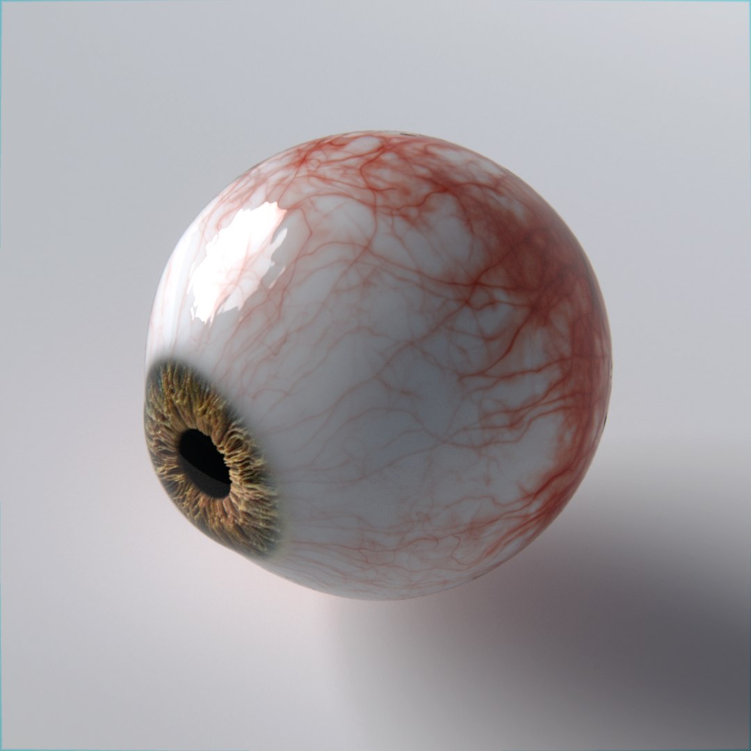 3D Photorealistic Human Eyes Model - TurboSquid 1314774