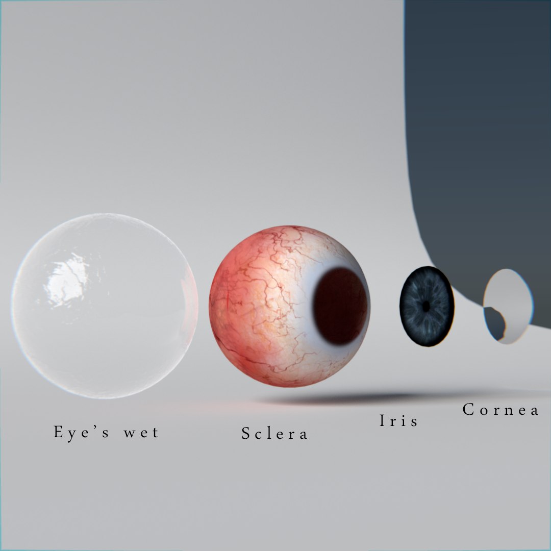 3D photorealistic human eyes model - TurboSquid 1314774