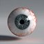 3D Photorealistic Human Eyes Model - TurboSquid 1314774