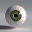 3D Photorealistic Human Eyes Model - TurboSquid 1314774
