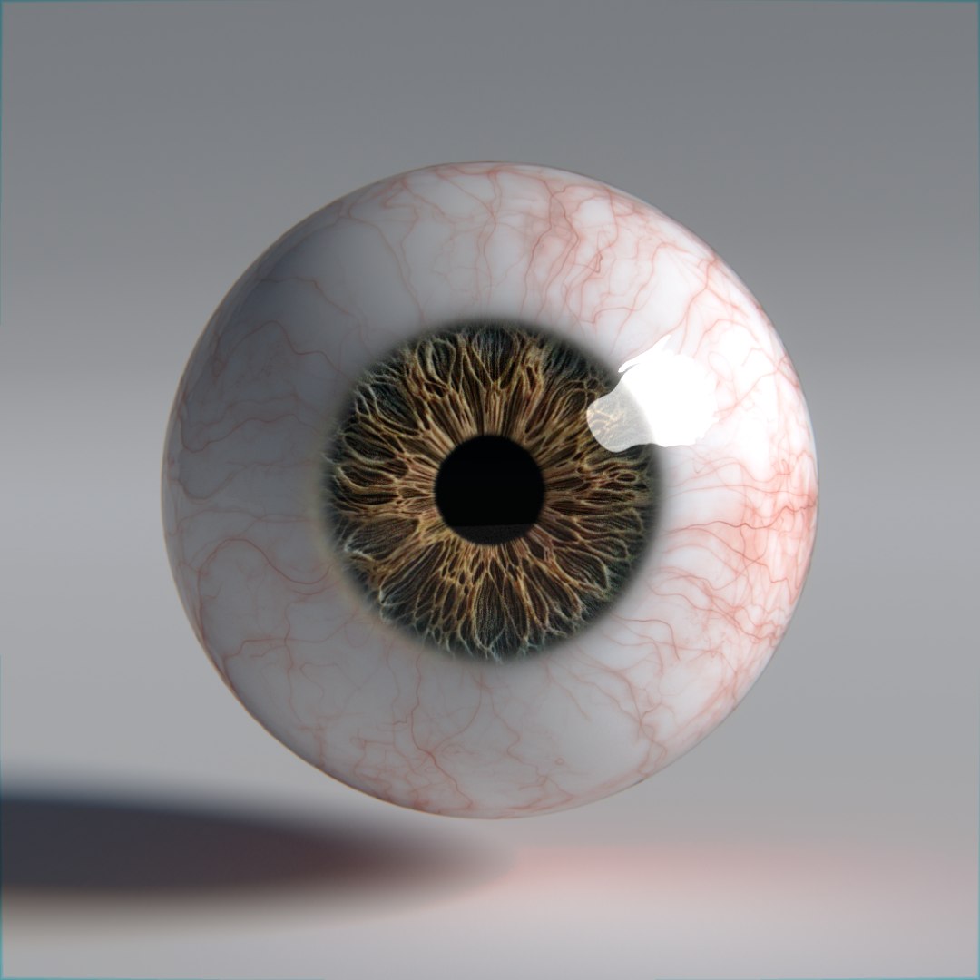 3D Photorealistic Human Eyes Model - TurboSquid 1314774