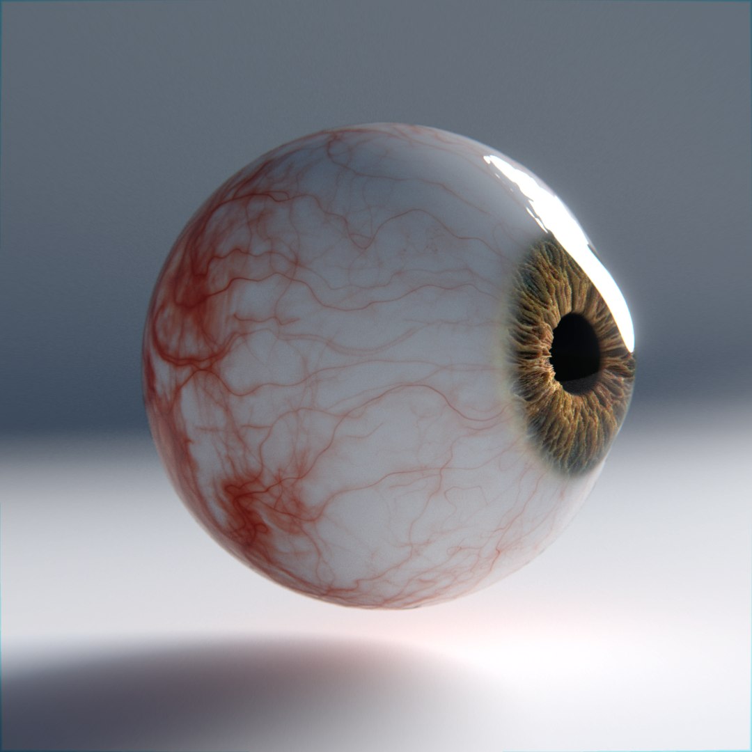 3D Photorealistic Human Eyes Model - TurboSquid 1314774