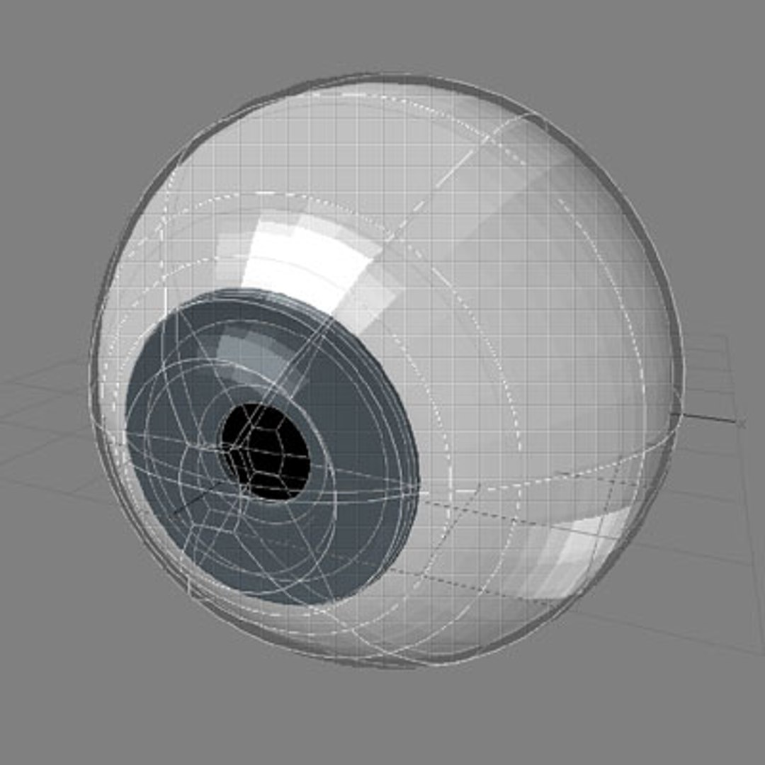 Eye Eyeball 3d Model
