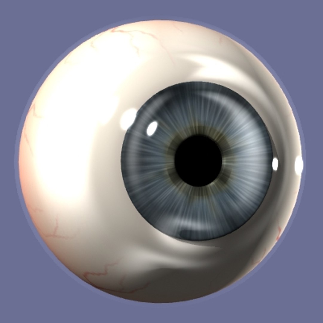Eye Eyeball 3d Model