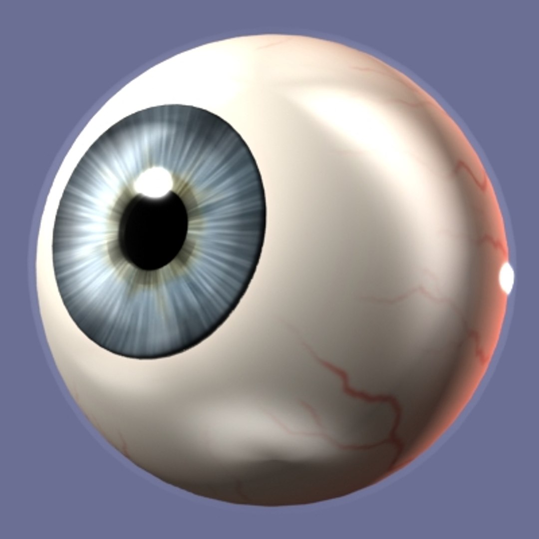 Eye Eyeball 3d Model