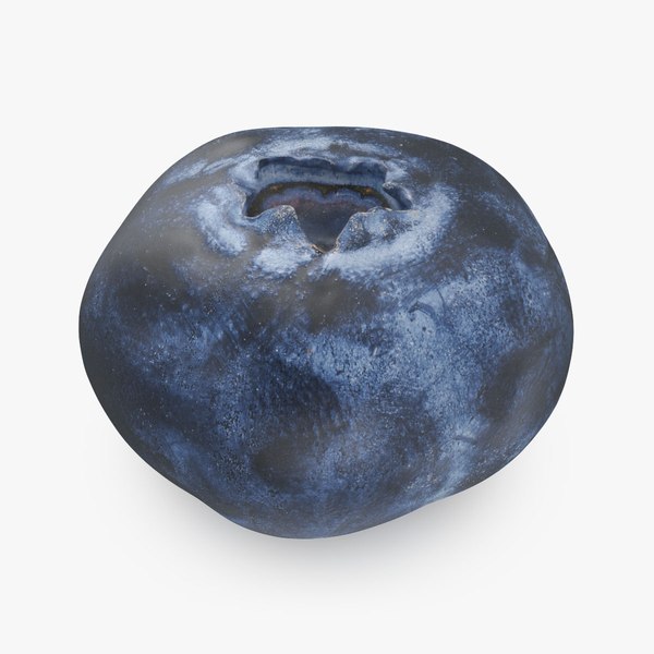 3D Blueberry Models | TurboSquid
