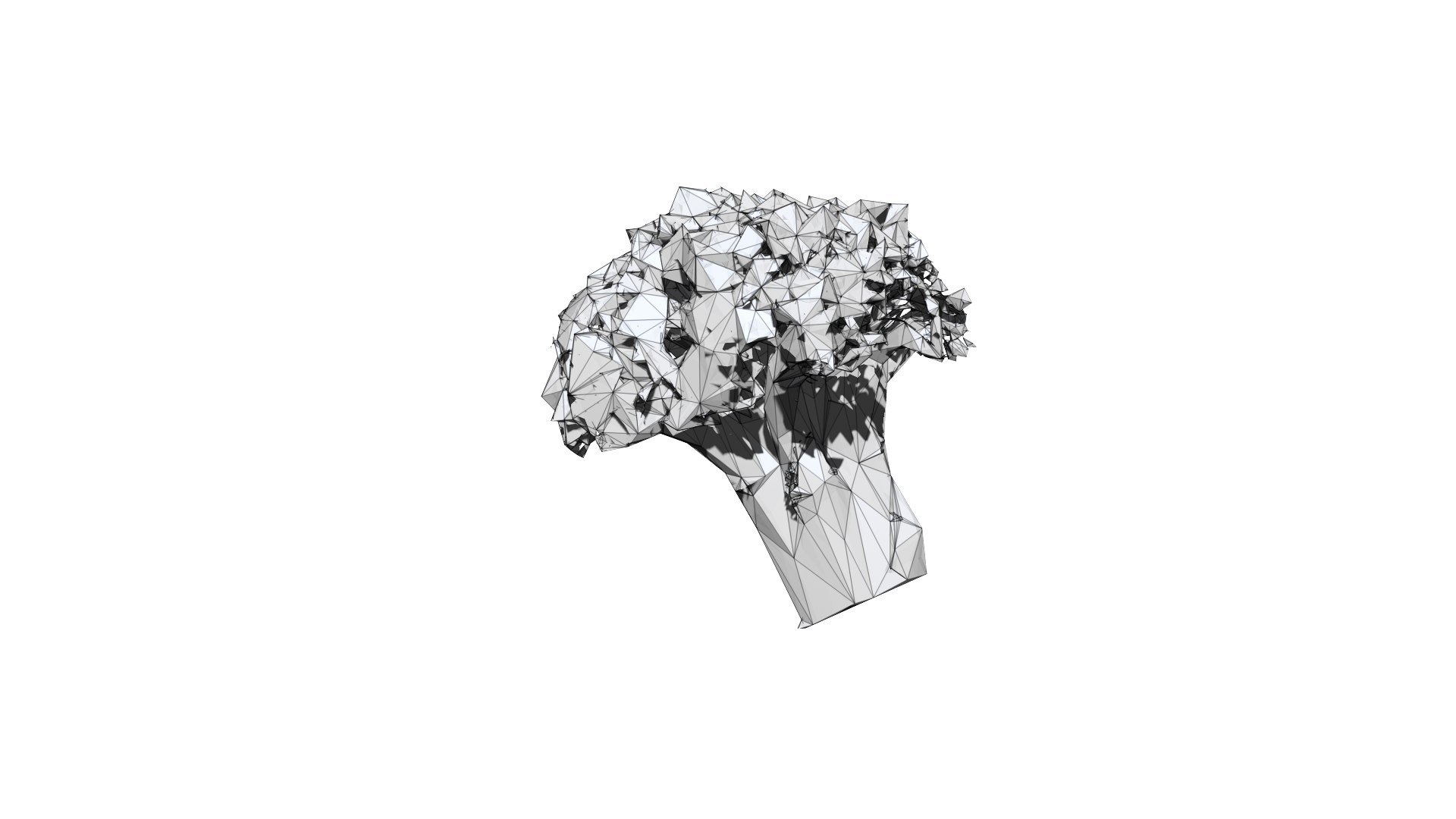 Broccoli Cut 3D CT Scan Model 4 Decimate 5percent 3D Model - TurboSquid ...