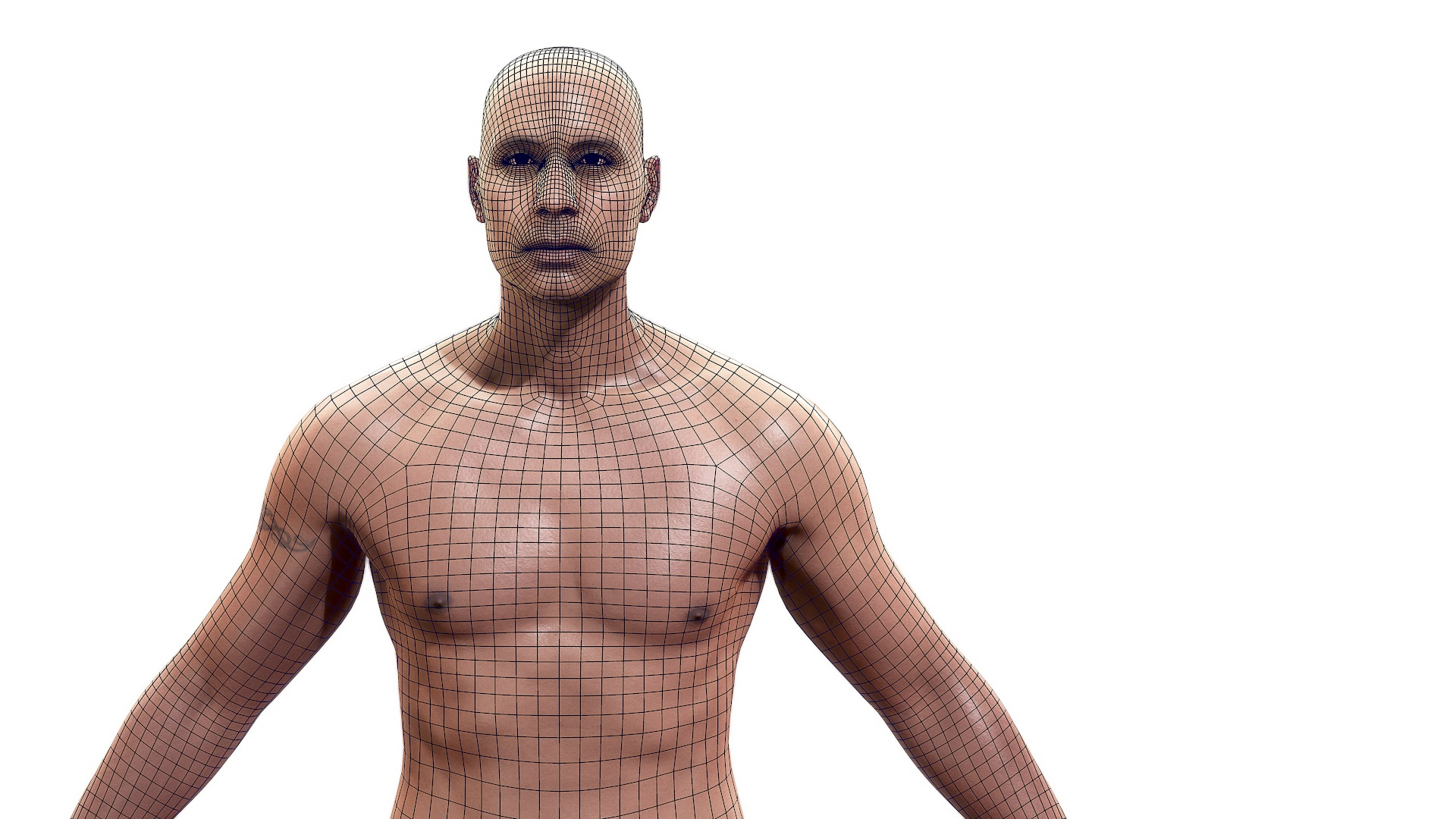 3d Character Humans - Scans Model