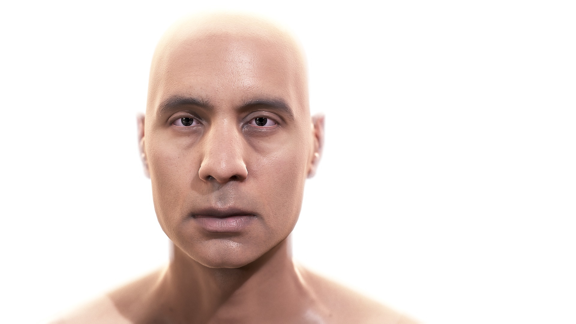 3d Character Humans - Scans Model