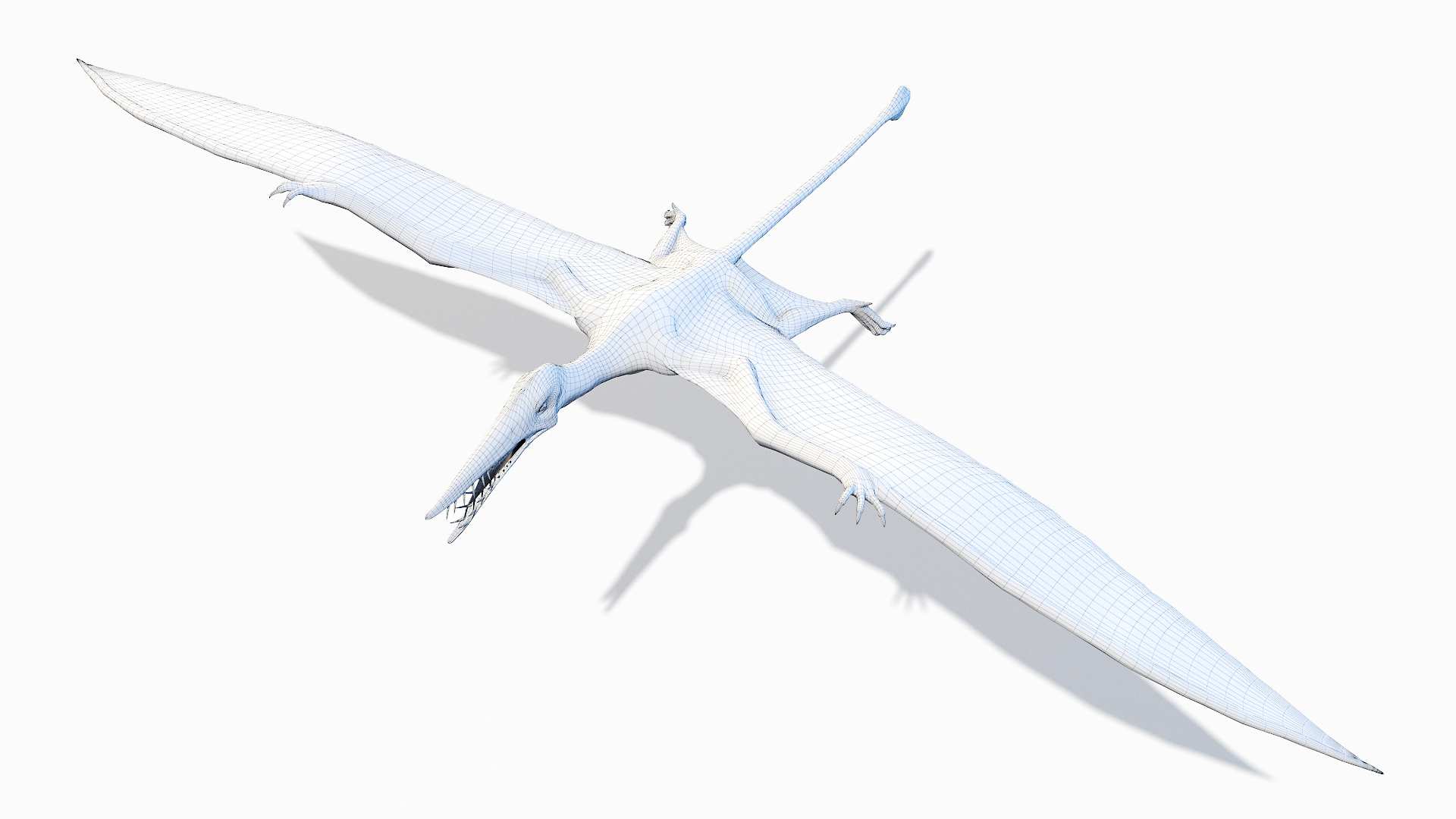 Rhamphorhynchus 3D - TurboSquid 1721703