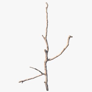 Low Poly Branch 3D Models for Download | TurboSquid