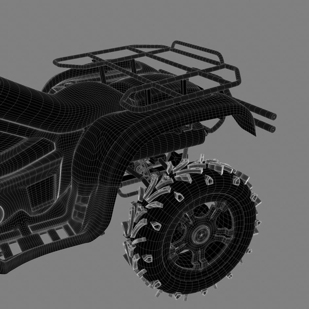 Terrain 4-wheeler 3d Model