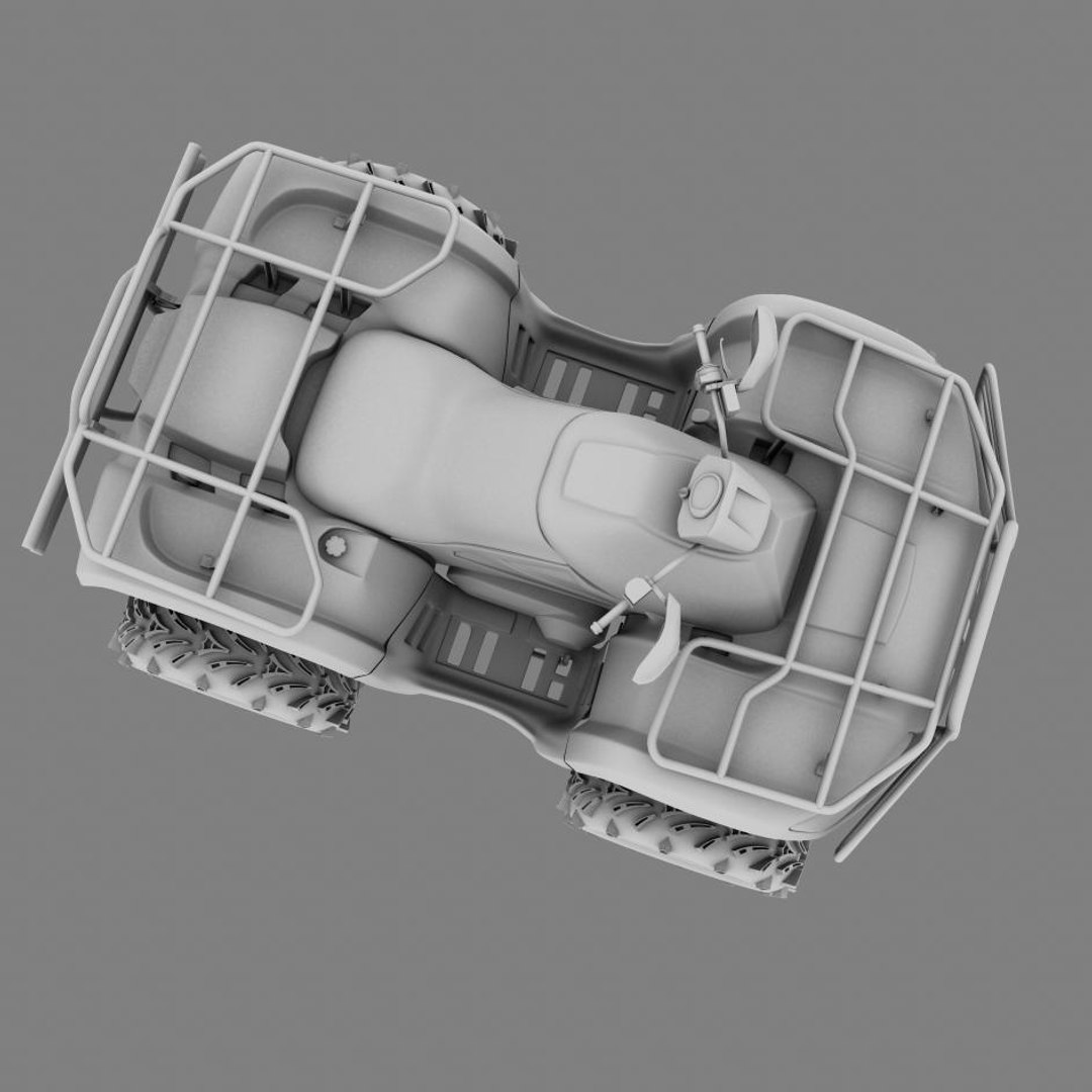 Terrain 4-wheeler 3d Model