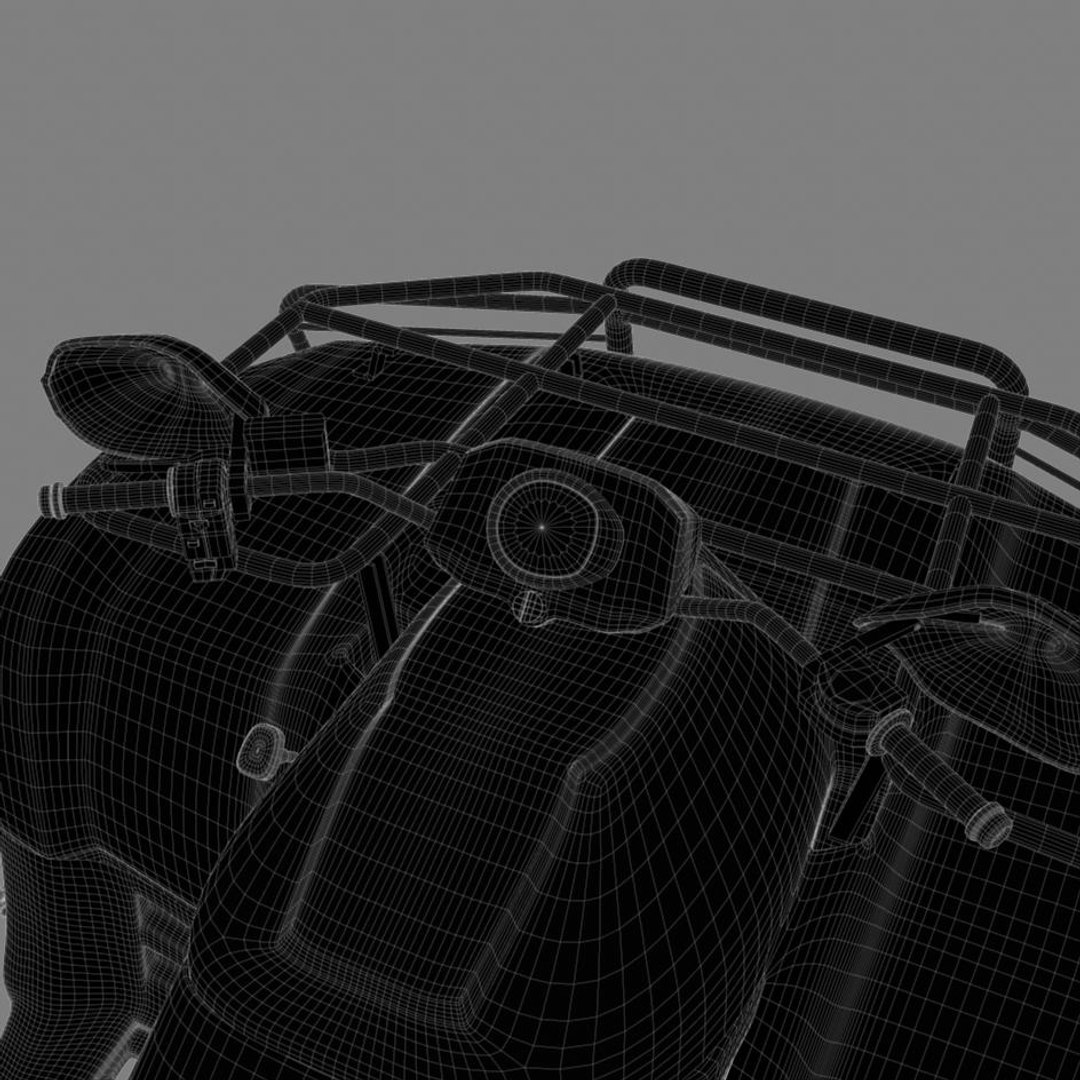 Terrain 4-wheeler 3d Model