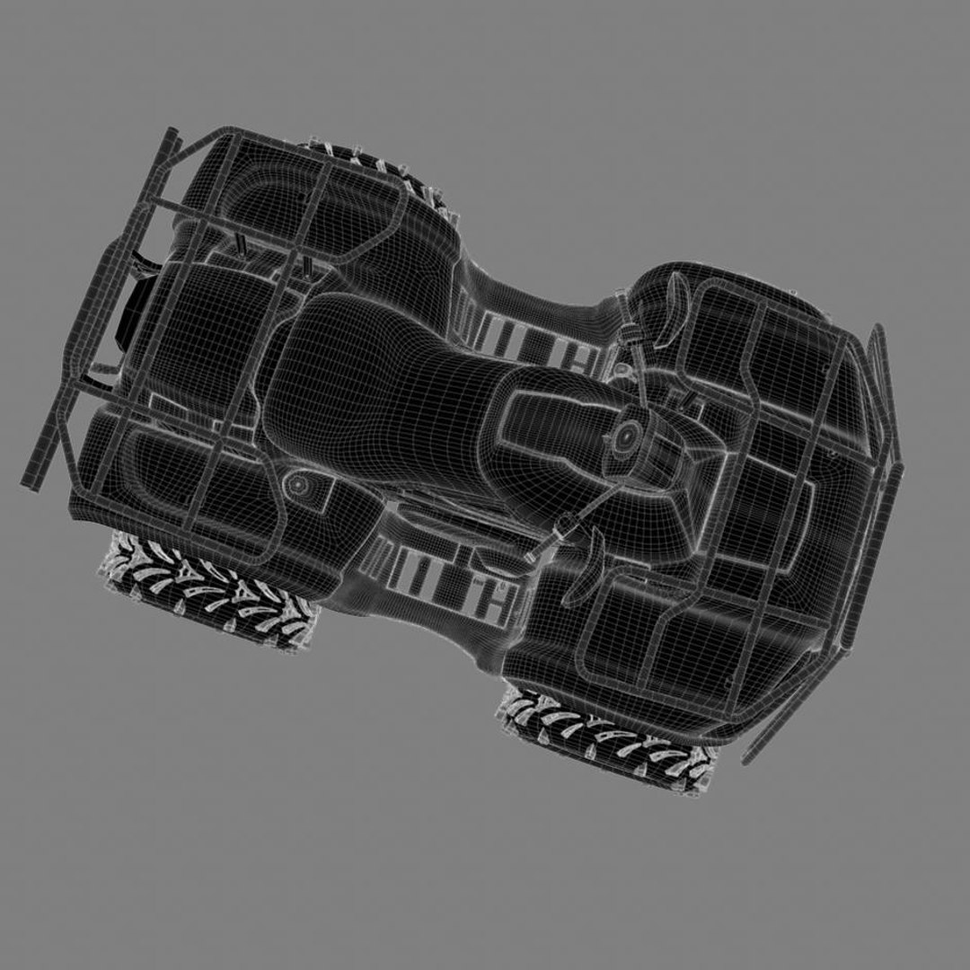 Terrain 4-wheeler 3d Model