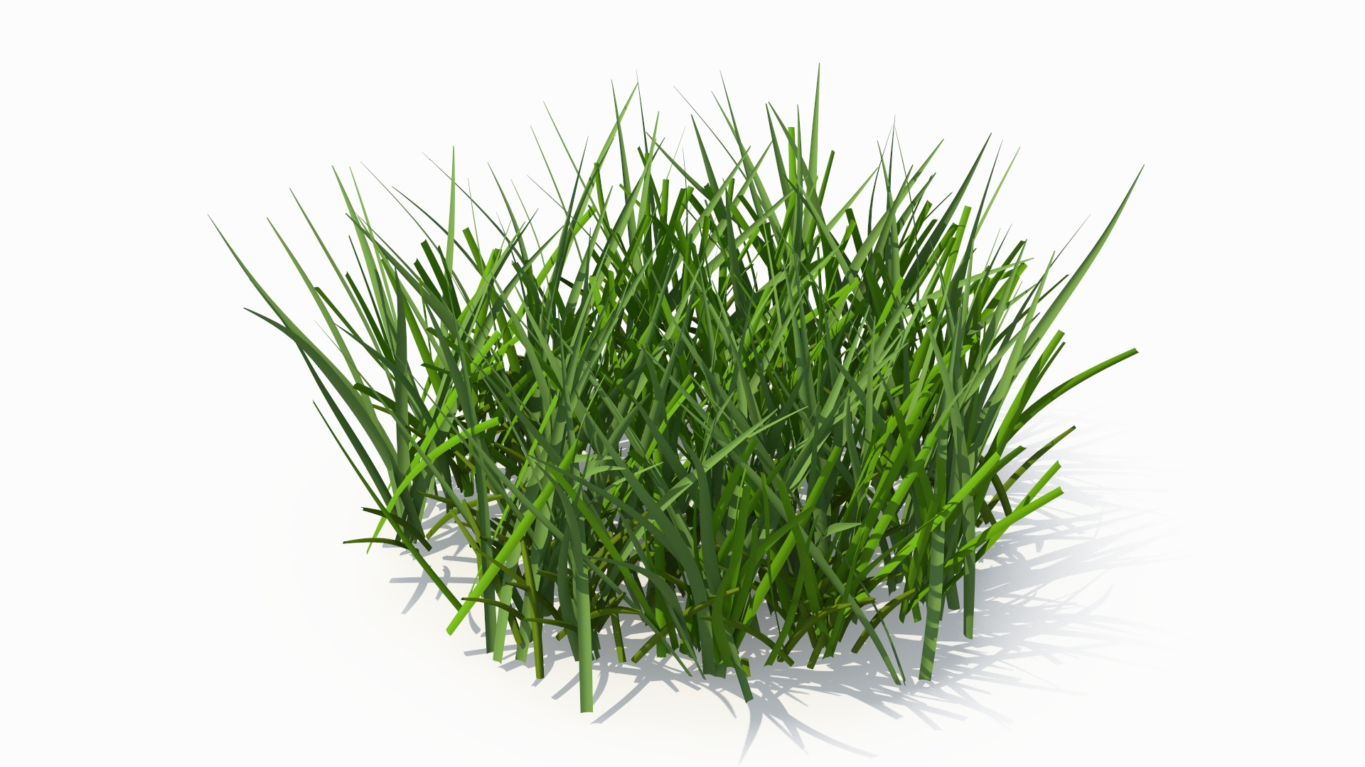 3D Realistic Patch Of Grass - TurboSquid 2320540