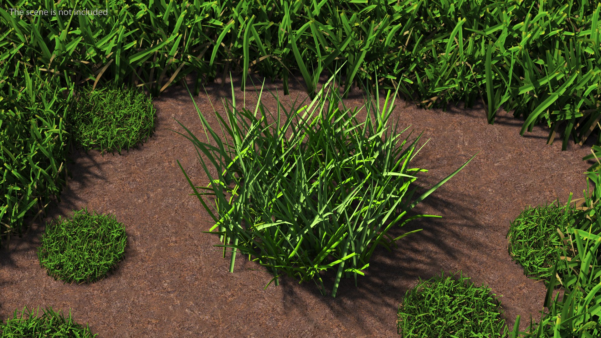 3D Realistic Patch Of Grass - TurboSquid 2320540