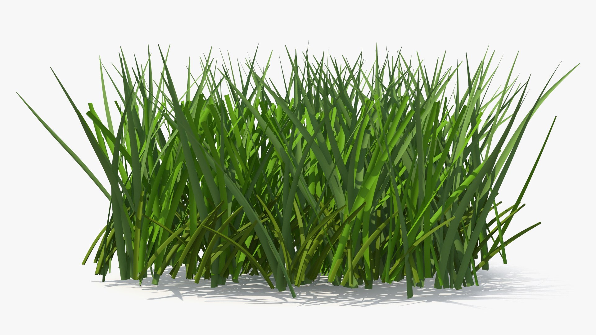 3D Realistic Patch Of Grass - TurboSquid 2320540