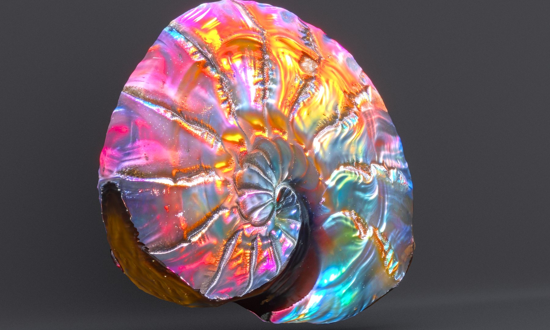 Colorfull Seashell Pack 3D model - TurboSquid 2177554