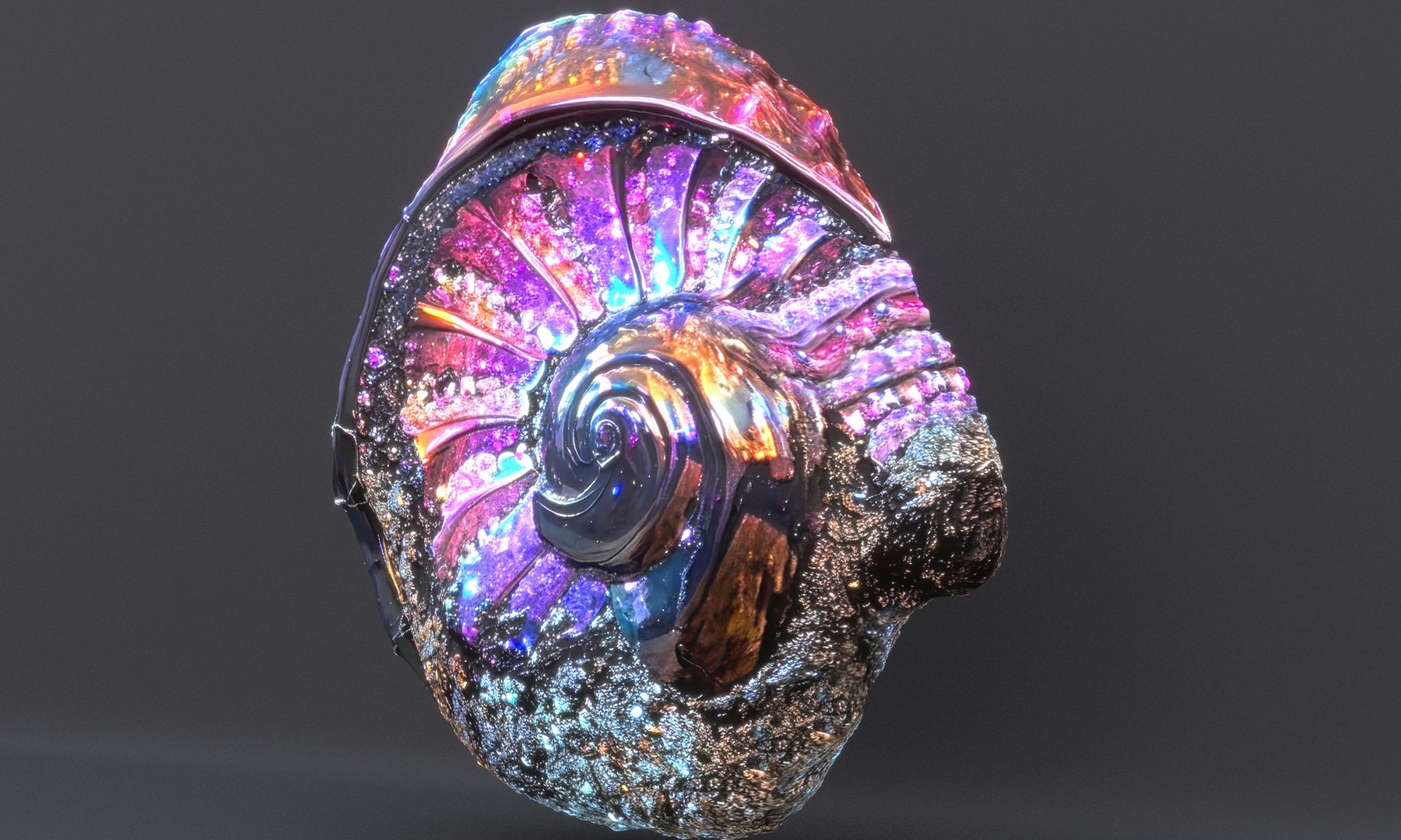 Colorfull Seashell Pack 3D model - TurboSquid 2177554