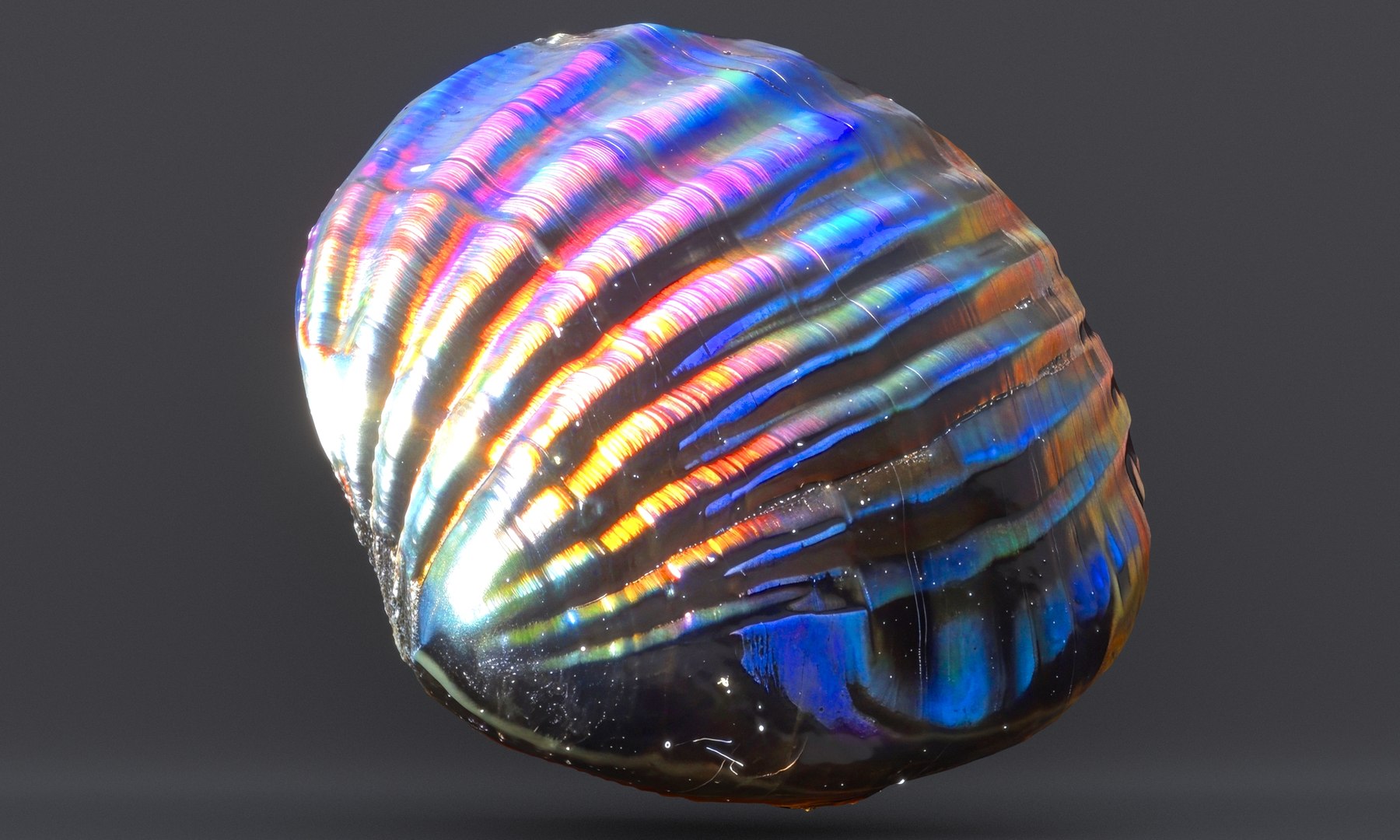 Colorfull Seashell Pack 3D model - TurboSquid 2177554