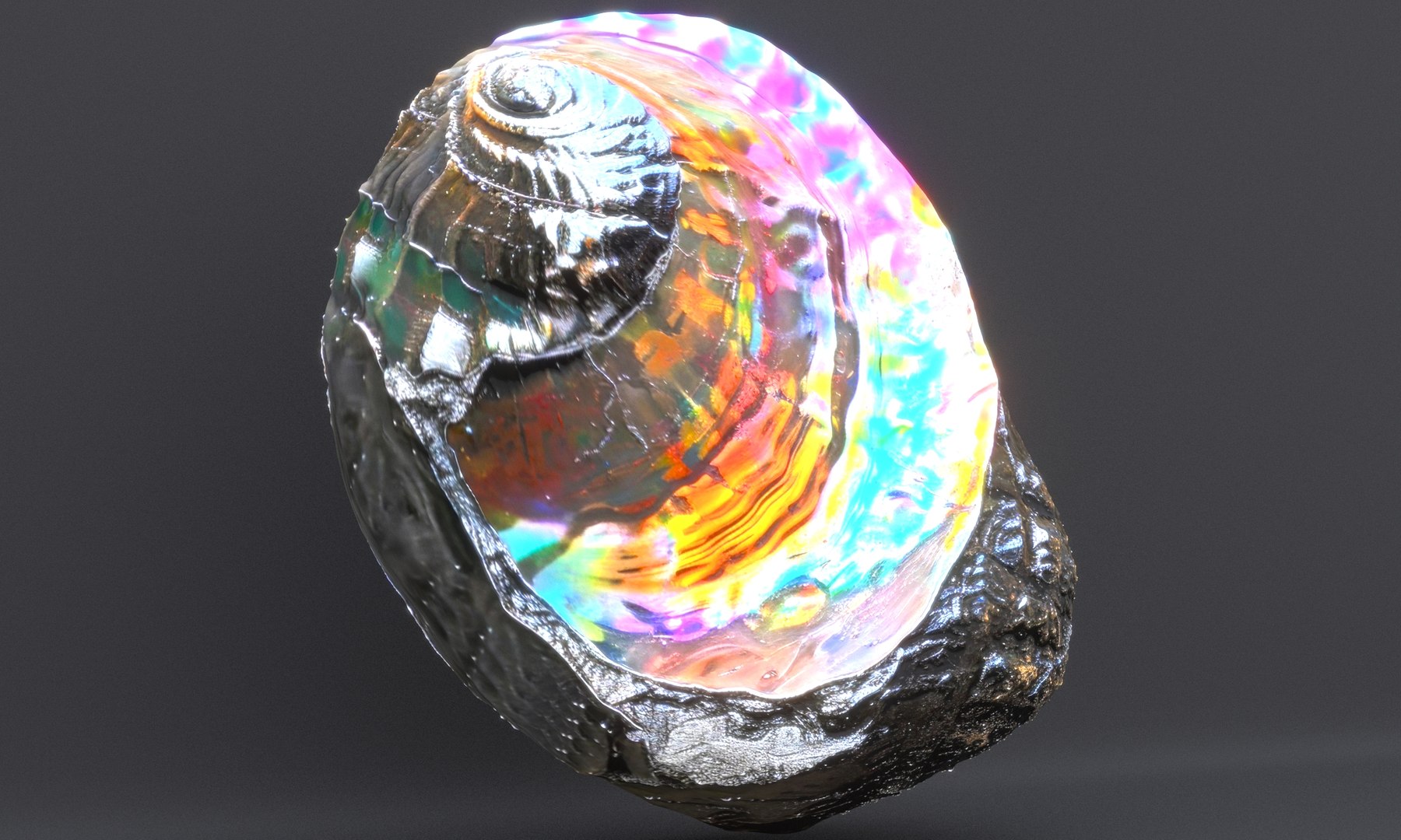 Colorfull Seashell Pack 3D model - TurboSquid 2177554