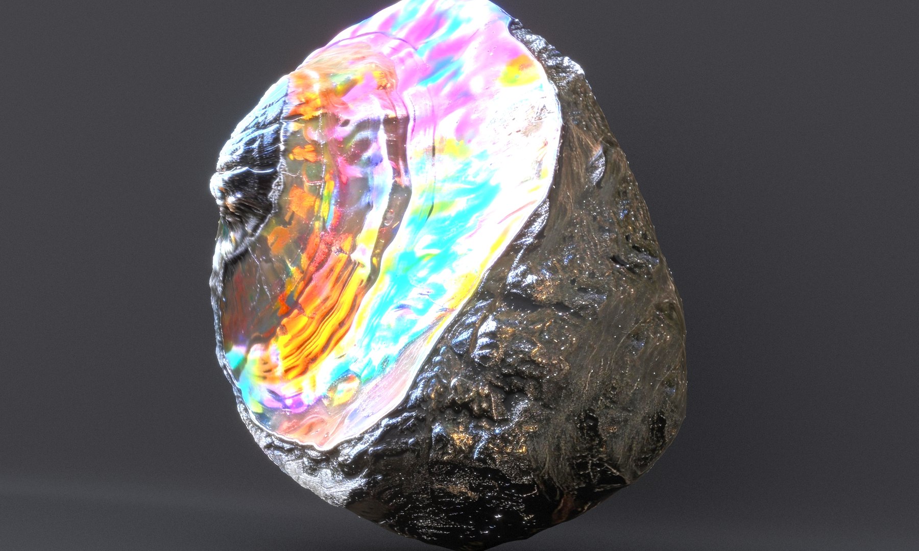 Colorfull Seashell Pack 3D model - TurboSquid 2177554