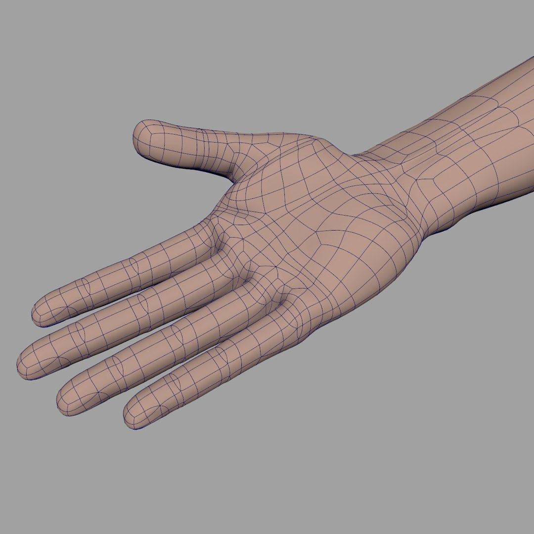 3D hand topology model - TurboSquid 1314786