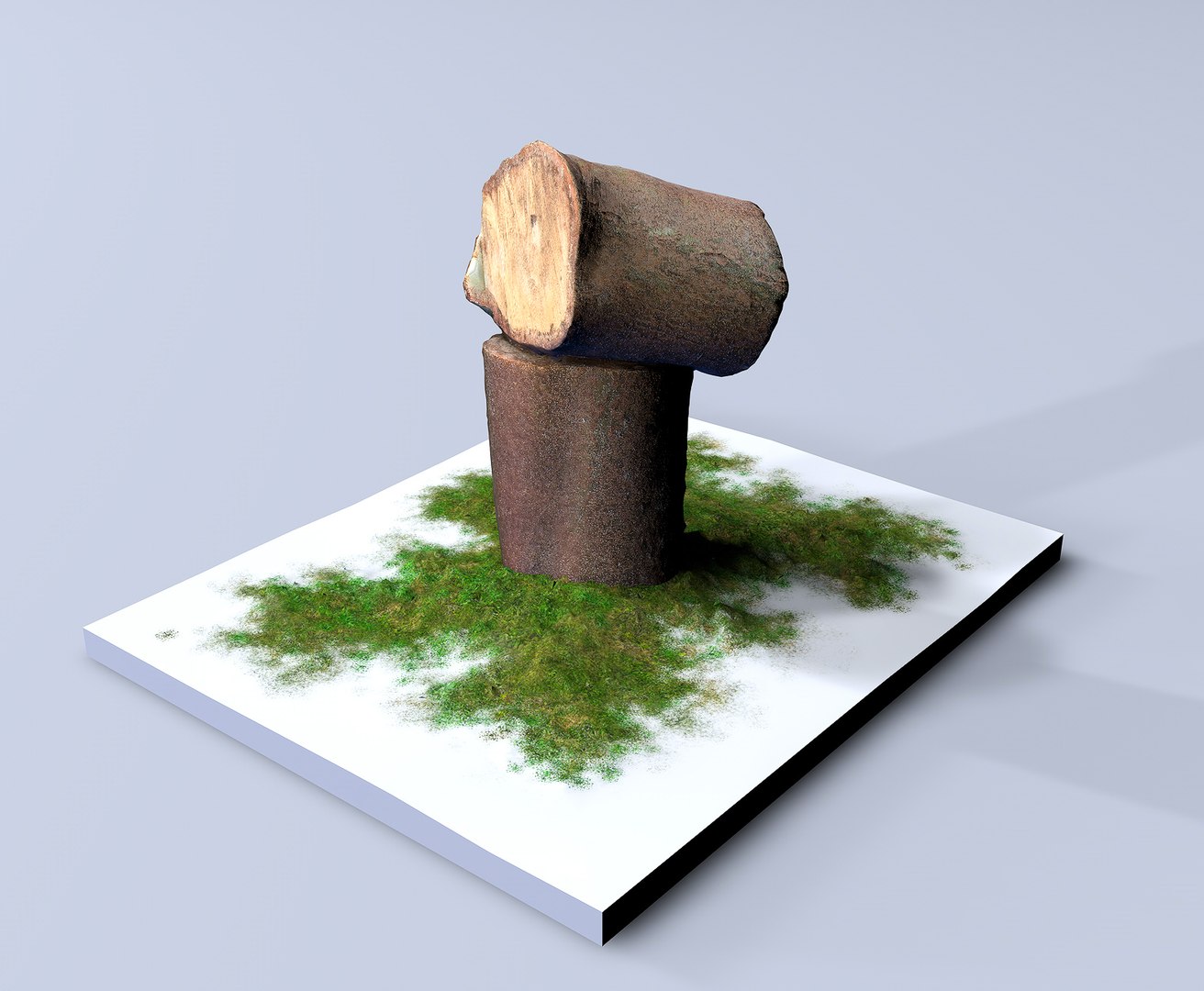 Tree 3D Model - TurboSquid 1422349