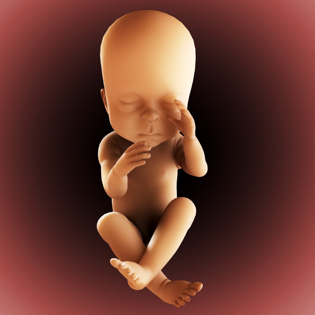 obj infant fetus baby