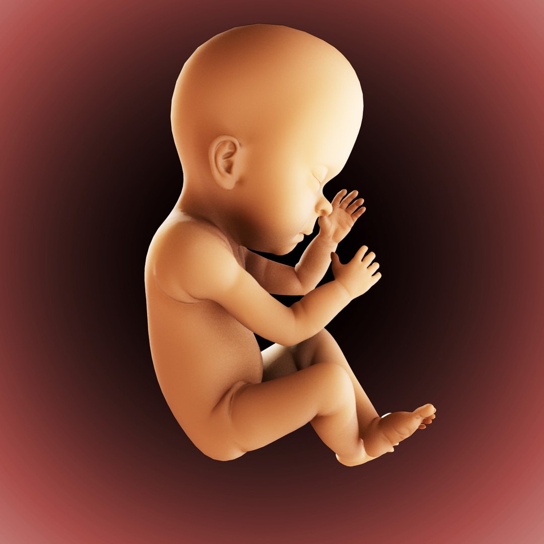 obj infant fetus baby