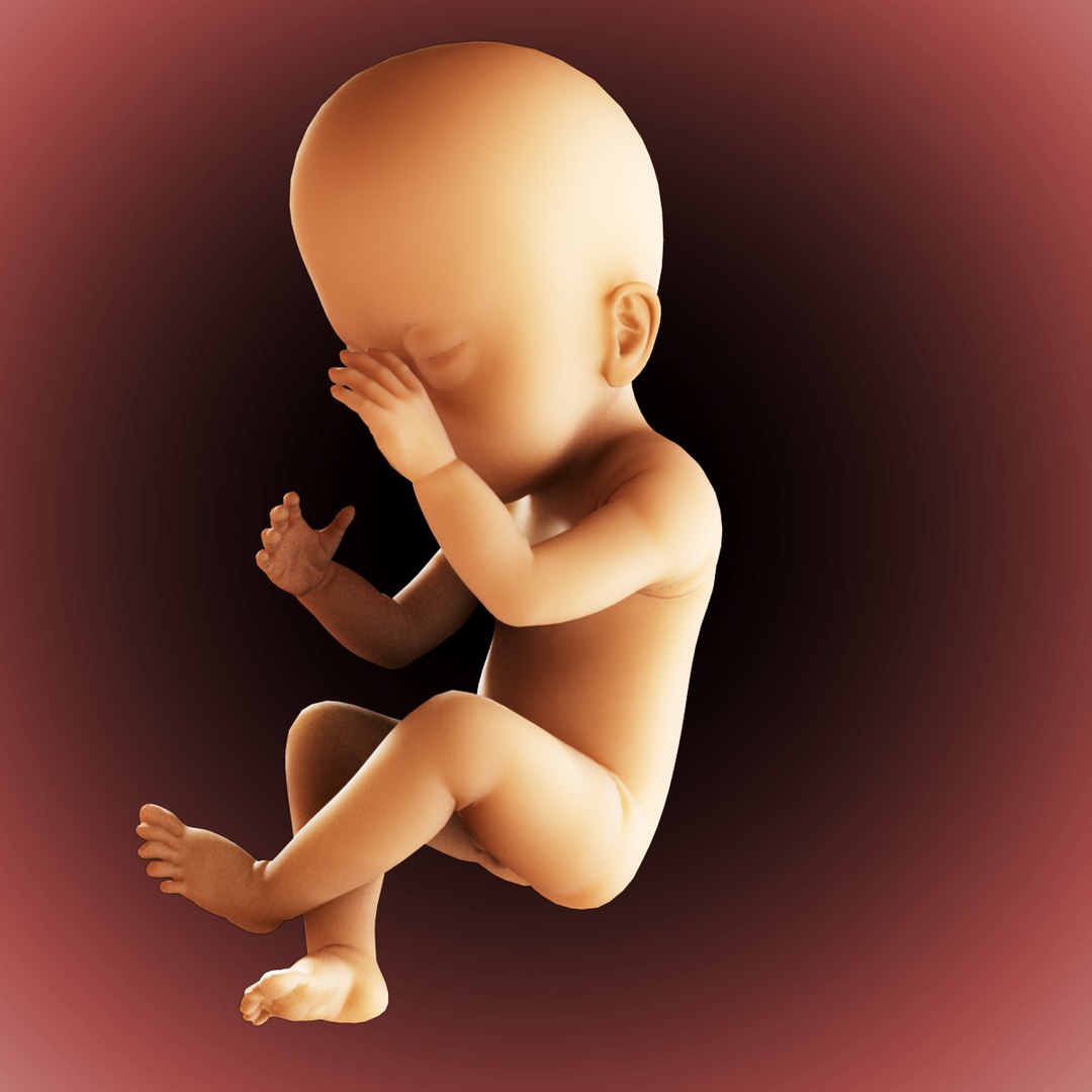 obj infant fetus baby