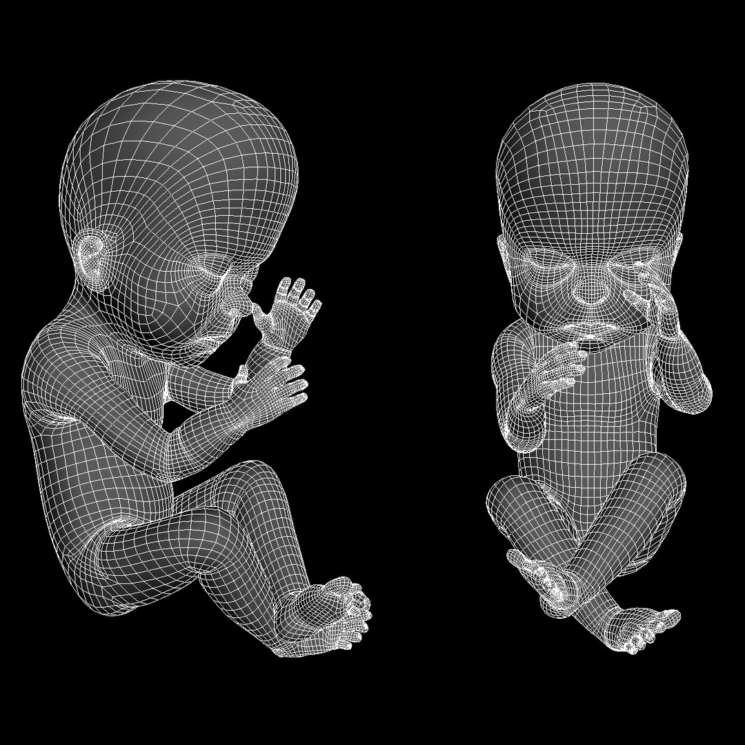 obj infant fetus baby