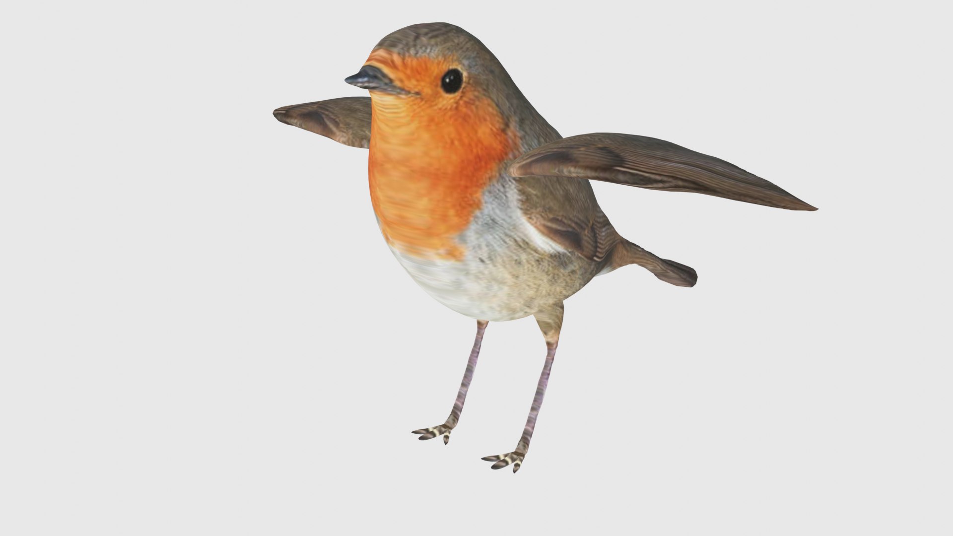 Low Poly Robin Rigged With Realistic Texture 3D - TurboSquid 1875999